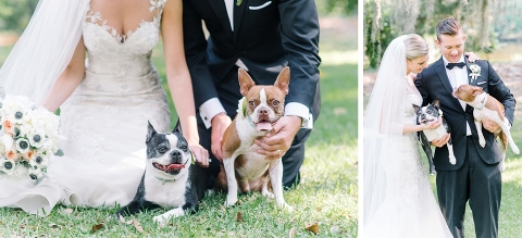 Aaron and Jillian - Charleston, SC Wedding Photographers