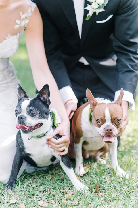 Aaron and Jillian - Charleston, SC Wedding Photographers